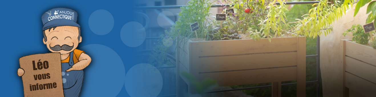 Installez facilement votre potager de balcon